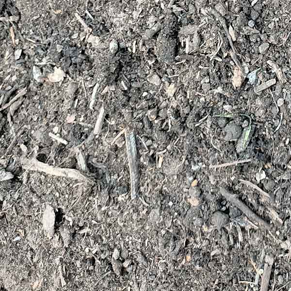 Ground Cover - Acacia Garden Supplies