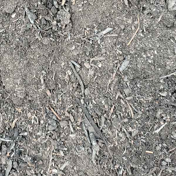 Ground Cover - Acacia Garden Supplies